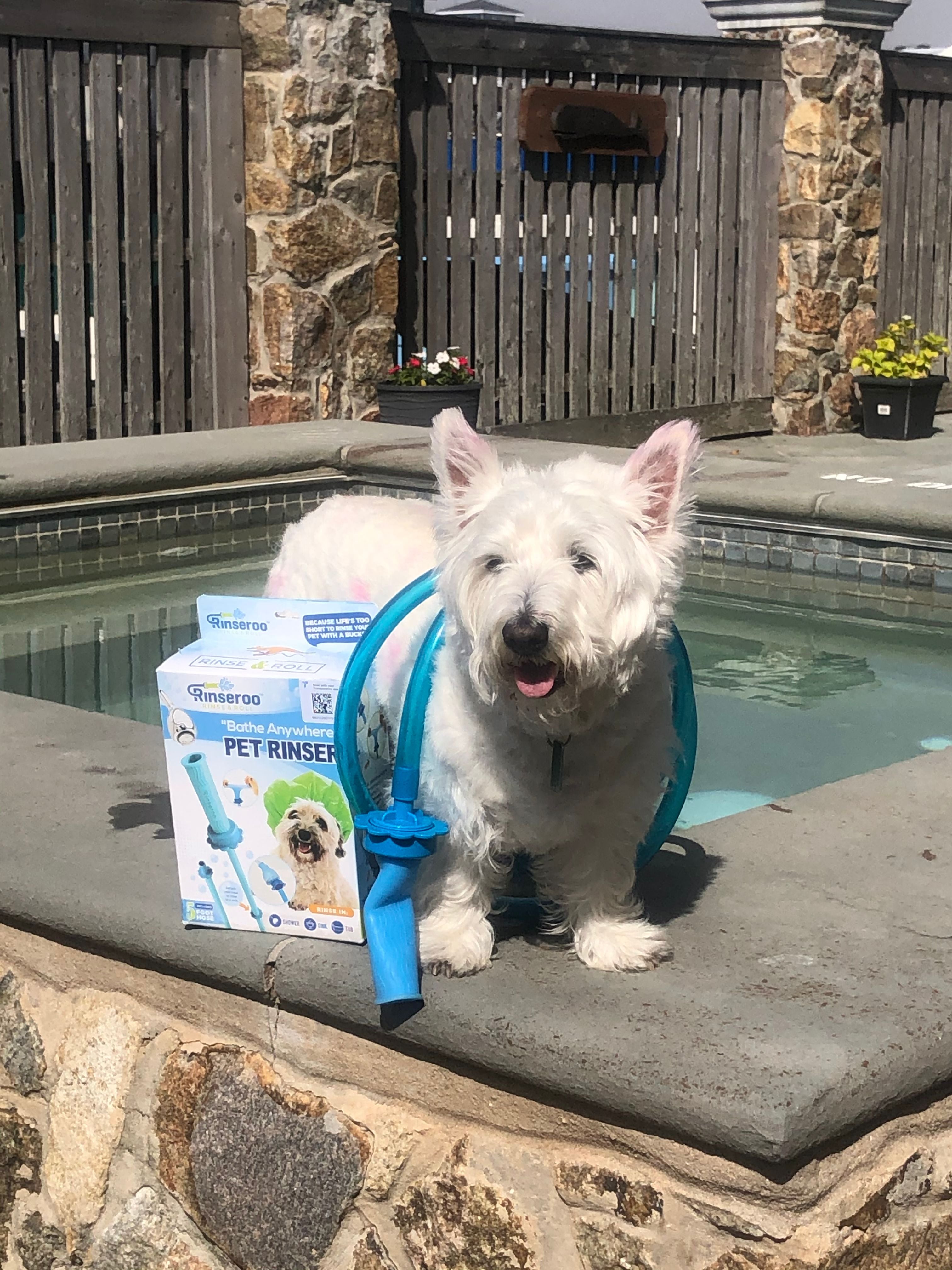 Why I Choose A Rinseroo To Bathe My Dog