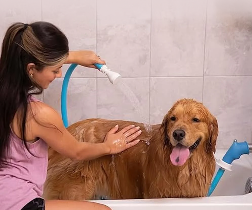 Simple Tips for Washing Your Dog Without the Stress (or the Mess ...